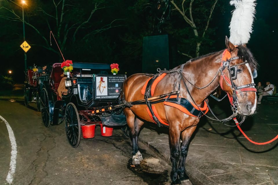 NYC MOONLIGHT HORSE CARRIAGE RIDE through Central Park - Authentic Insights from Reviews