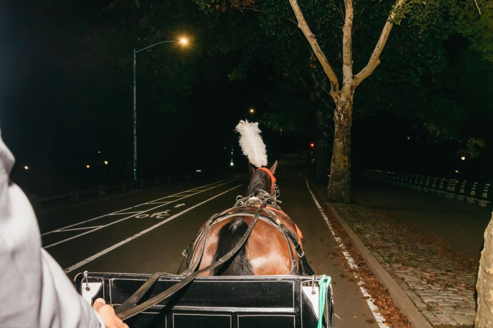 NYC MOONLIGHT HORSE CARRIAGE RIDE through Central Park - Is This Tour Worth It?