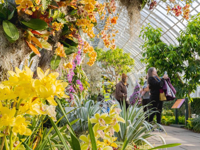 NYC: New York Botanical Garden Pass with Orchid Show Option - The Sum Up