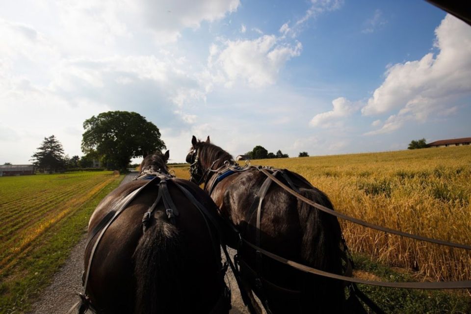 NYC: Niagara Falls, Philadelphia, Washington DC 4-Day Tour - Your 4-Day American Road Trip, Packaged and Ready  