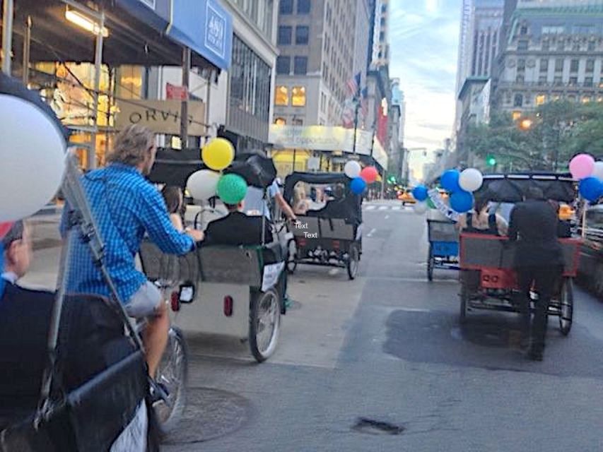 NYC Pedicab Tours: Central Park, Times Square, 5th Avenue - Who Would Love This Tour?