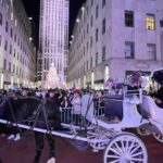 NYC: Private Central Park and NYC City Tour - What the Ride Offers That Photos Cant Capture
