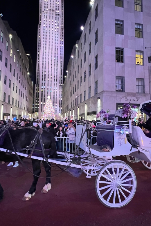 NYC: Private Central Park and NYC City Tour - What the Ride Offers That Photos Cant Capture