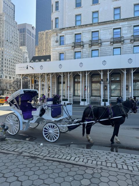 NYC: Private Central Park and NYC City Tour - Who Will Love This Tour?