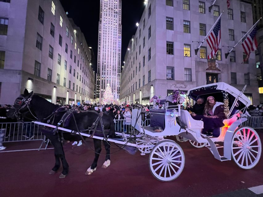 NYC: Private Central Park and NYC City Tour - FAQ