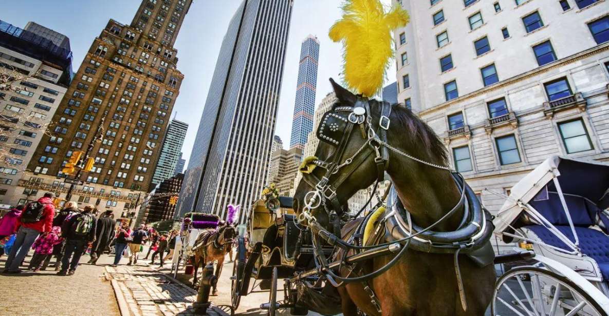 NYC Private Central Park Horse Carriage Ride with Guide - Key Points