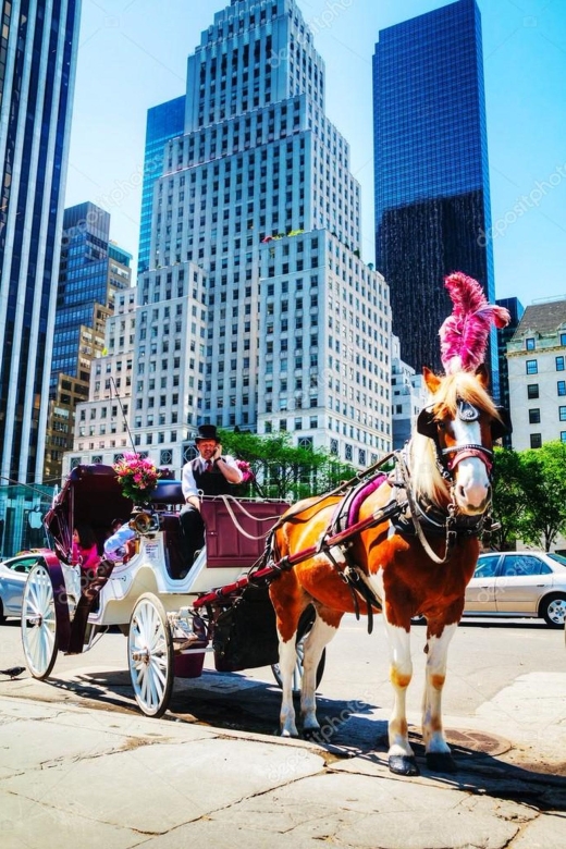 NYC Private Central Park Horse Carriage Ride with Guide - What to Expect on Your Tour