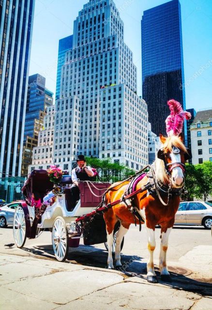NYC Private Central Park Horse Carriage Ride with Guide - Detailed Breakdown of the Itinerary