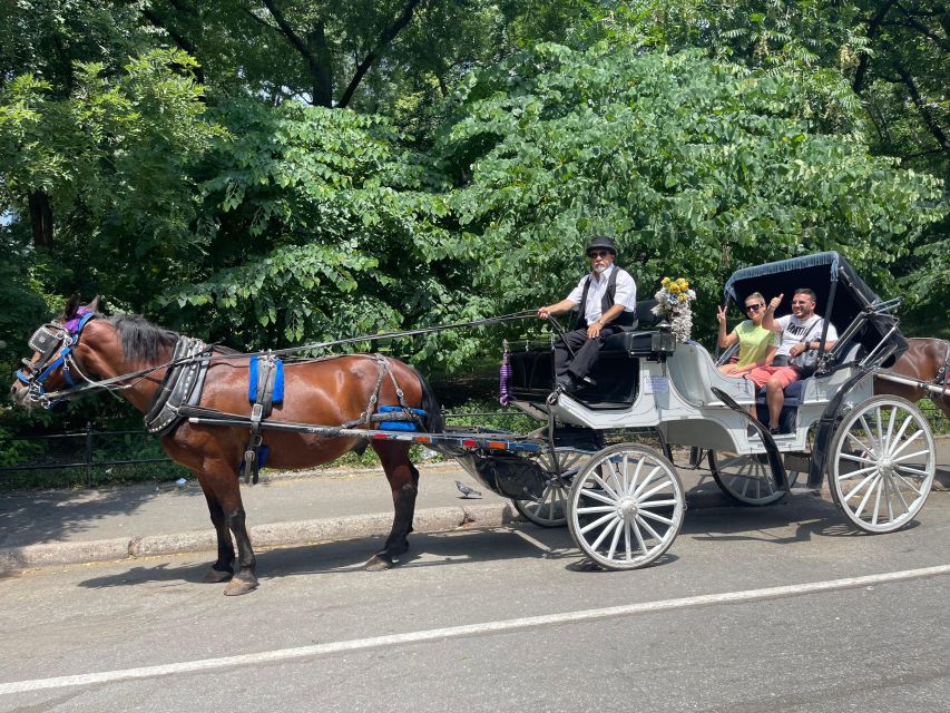 NYC Private Central Park Horse Carriage Ride with Guide - Who Should Consider This Tour?