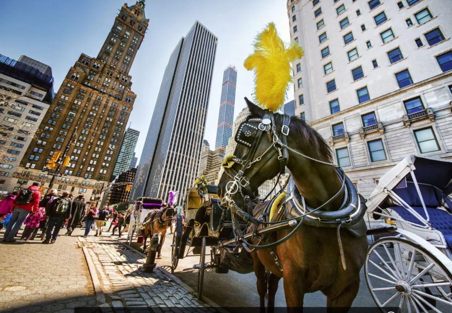NYC Private Central Park Horse Carriage Ride with Guide - Frequently Asked Questions
