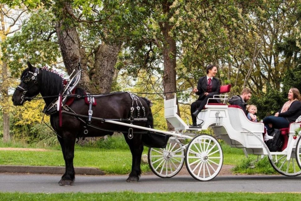 NYC: Private Central Park Horse Carriage Ride with Guide - What’s Included and How It Adds Value