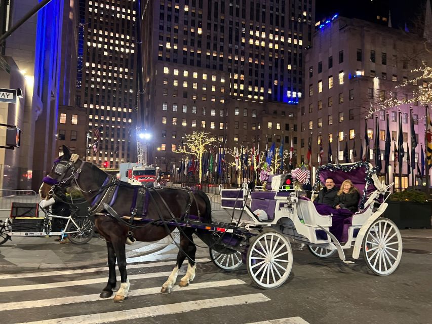 NYC: Private Central Park Horse Carriage Ride with Guide - Authentic Guest Insights