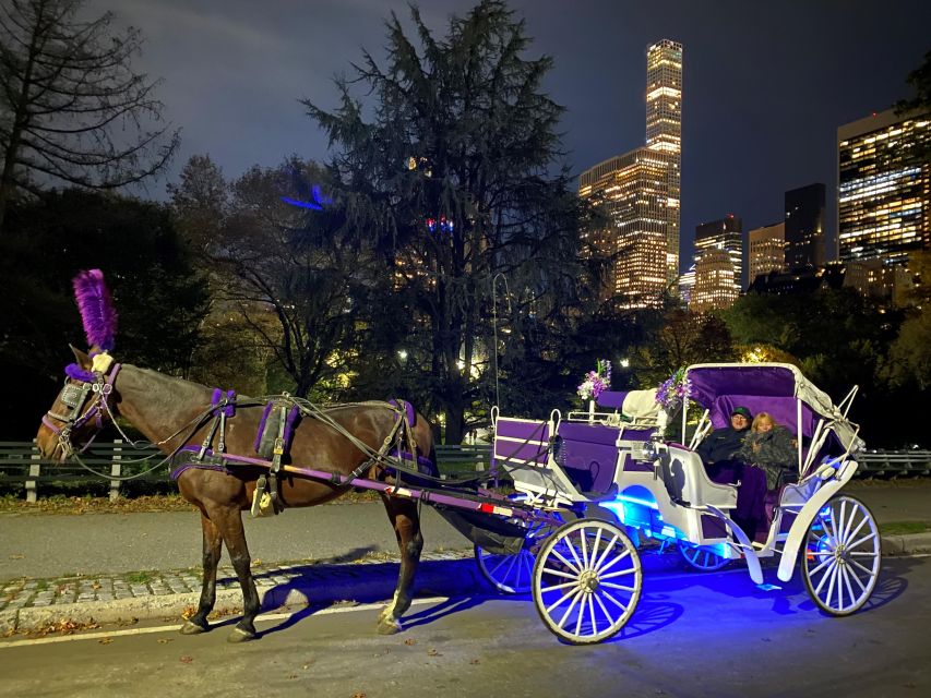NYC: Private Christmas Lights Horse Carriage Ride - Key Points