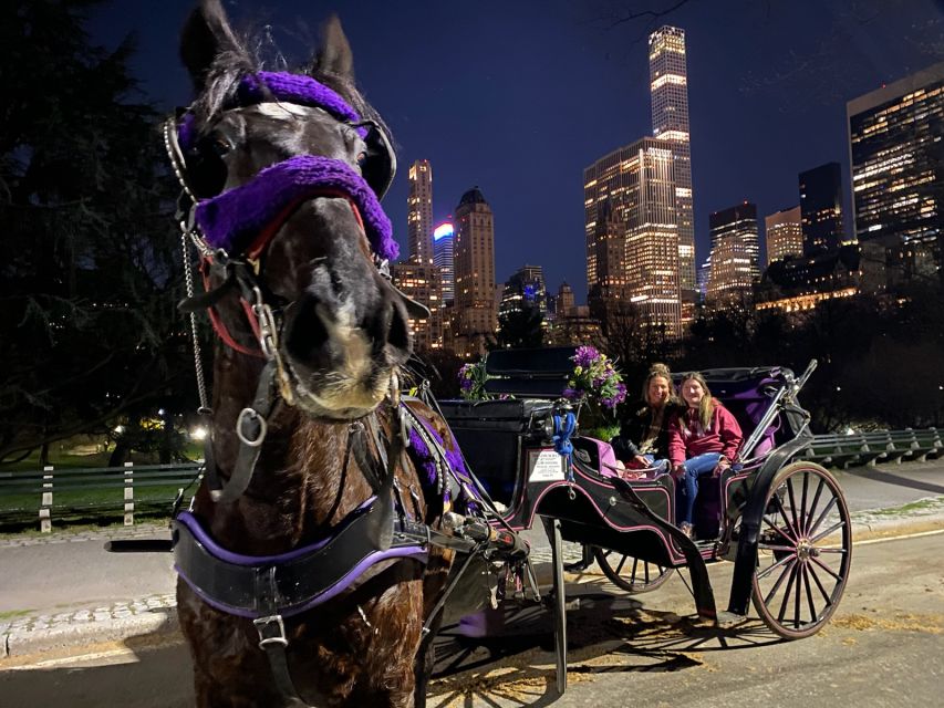NYC: Private Christmas Lights Horse Carriage Ride - A Cozy Ride Through New York’s Holiday Magic: The Private Christmas Lights Horse Carriage Tour