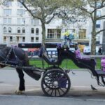 NYC: Private Christmas Lights Horse Carriage Ride - The Experience Breakdown: Whats Included and What to Expect