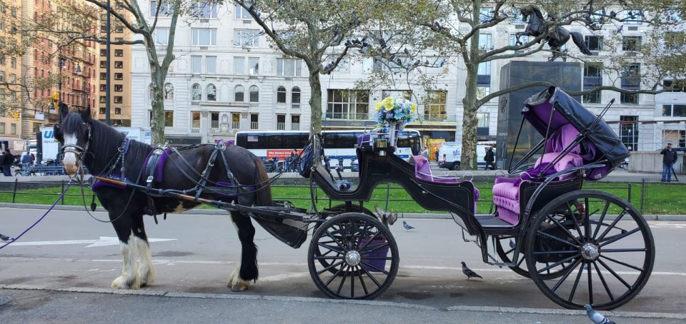NYC: Private Christmas Lights Horse Carriage Ride - The Experience Breakdown: Whats Included and What to Expect