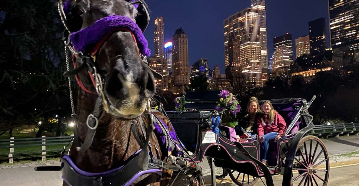 NYC: Private Christmas Lights Horse Carriage Ride - Final Thoughts