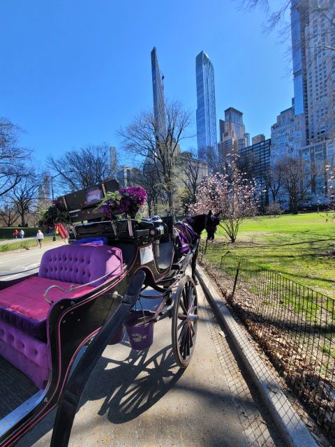 NYC: Private Christmas Lights Horse Carriage Ride - FAQ