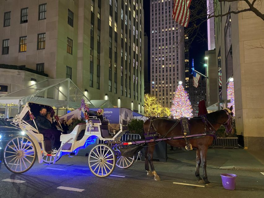 NYC: Private Christmas Lights Horse Carriage Ride - An In-Depth Look at the Christmas Lights Horse Carriage Ride