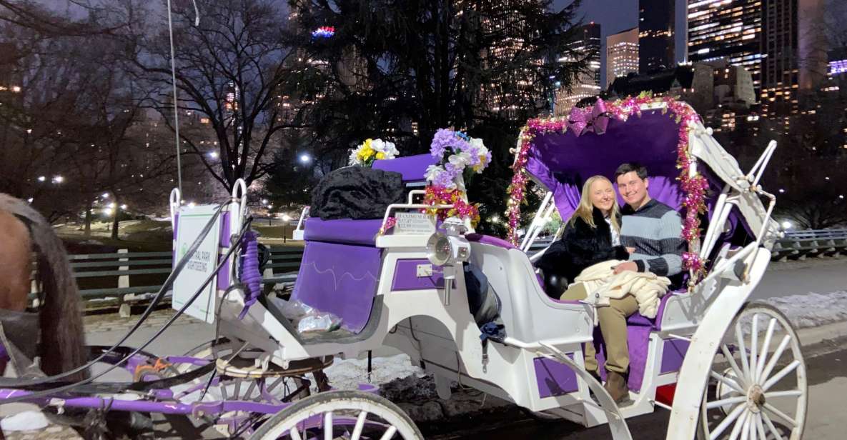 NYC: Private Christmas Lights Horse Carriage Ride - The Value of This Experience
