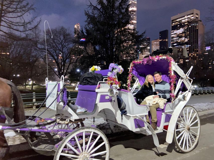 NYC: Private Christmas Lights Horse Carriage Ride - Who Should Consider This Tour?