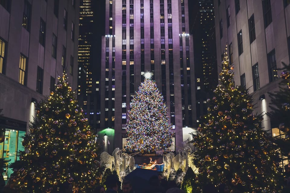 NYC: Private Dyker Heights and NYC Holiday Lights Tour - Key Points
