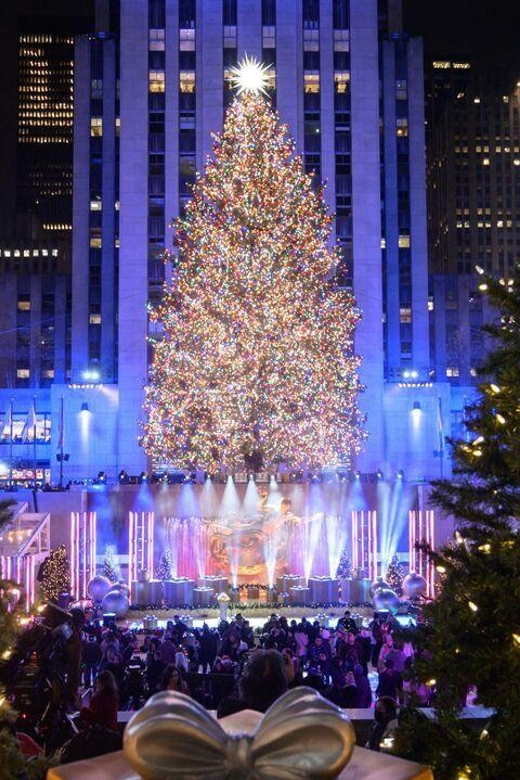 NYC: Private Dyker Heights and NYC Holiday Lights Tour - FAQ