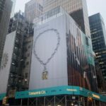 NYC: Private Rom Com Movie Sites Guided Tour - Who Will Love This Tour?
