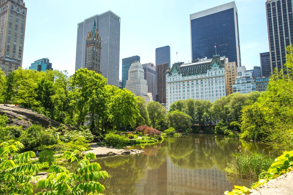 NYC: Private Tour Secrets of Central Park - What the Reviews Tell Us
