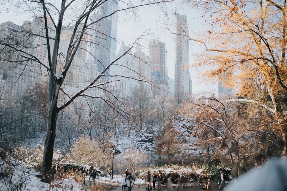 NYC Private Walking Tour with Professional Guide - What You Can Expect from the NYC Private Walking Tour