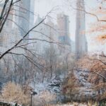 NYC Private Walking Tour with Professional Guide - The Practical Side: Duration, Price, and Logistics