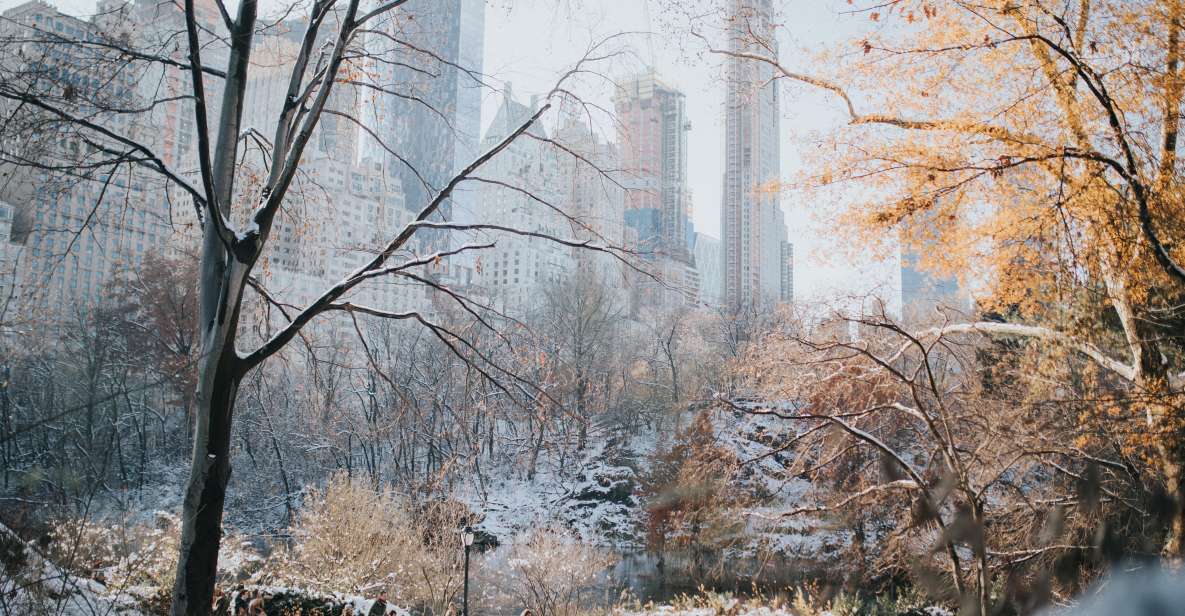 NYC Private Walking Tour with Professional Guide - The Practical Side: Duration, Price, and Logistics
