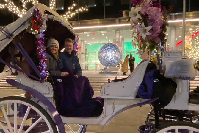 NYC Rockefeller Center Christmas Lights Horse Carriage Ride - Who Should Consider This Tour?