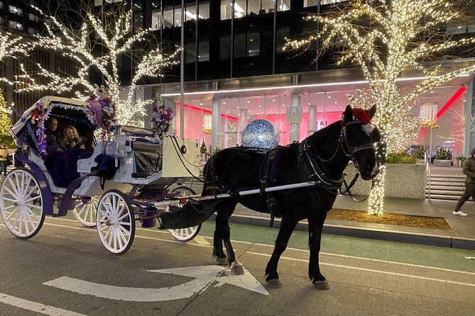 NYC Rockefeller Center Christmas Lights Horse Carriage Ride - FAQs