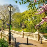 NYC: Sightseeing Day Trip with Statue of Liberty Visit - What Travelers Can Expect