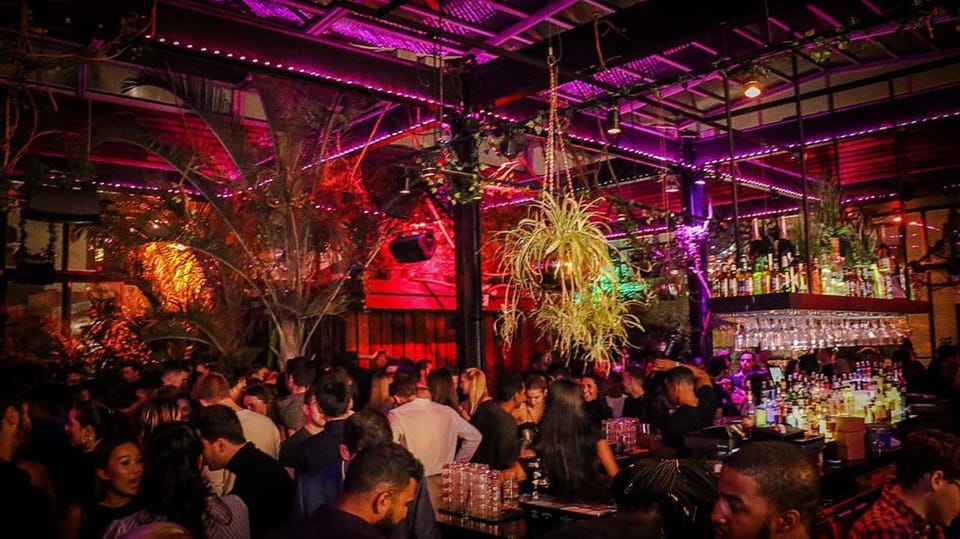 NYC West Village Pub Crawl Experience - Key Points