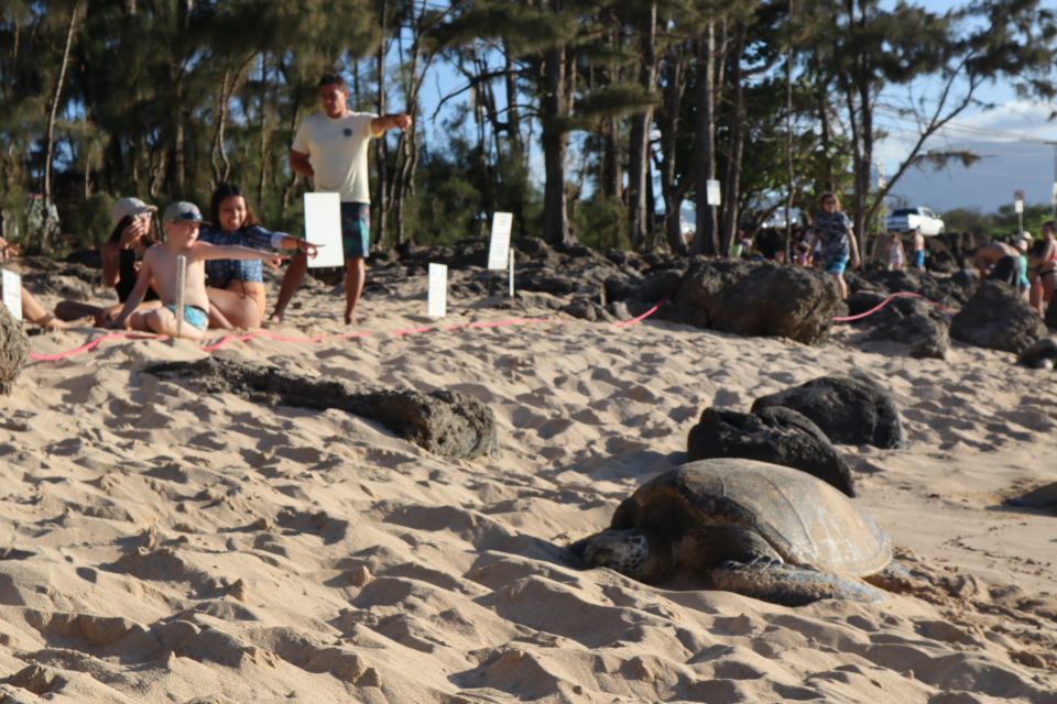 Oahu: Active Circle Island Tour - What You Can Expect from the Oahu Active Circle Island Tour