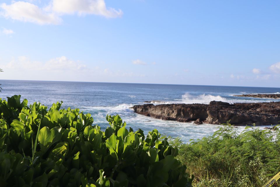 Oahu: Active Circle Island Tour - Final Thoughts