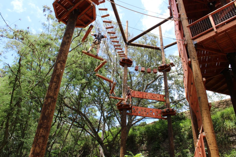 Oahu: Aerial Adventure, Climbing, & Freefall Experience - The Experience: What to Expect on the Day