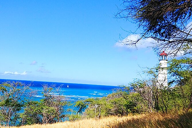 Oahu: All Day Circle Island Tour with Snorkeling - Who Will Love This Tour?