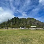 Oahu Allstar Circle Island Tour: Dole, Turtles. Blowhole, Fun - The Experience and Group Dynamics