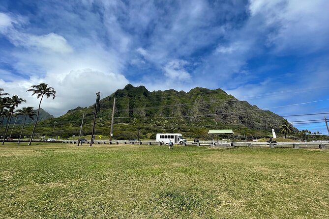 Oahu Allstar Circle Island Tour: Dole, Turtles. Blowhole, Fun - The Experience and Group Dynamics