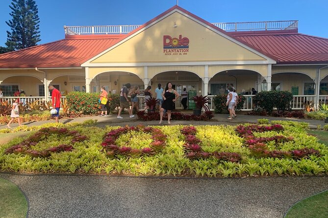 Oahu Allstar Circle Island Tour: Dole, Turtles. Blowhole, Fun - The Sum Up: Who Is This Tour For?