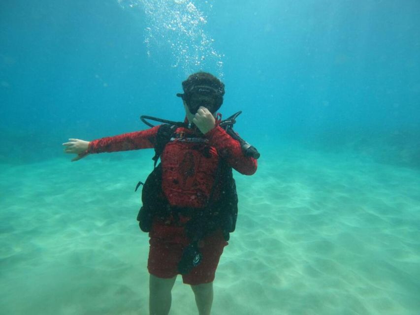 Oahu: Beginner SCUBA Dive at Electric Beach - Pricing and Value