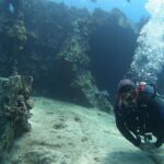 Oahu: Beginner SCUBA Dive at Electric Beach - Why Choose the Oahu Beginner SCUBA Experience?