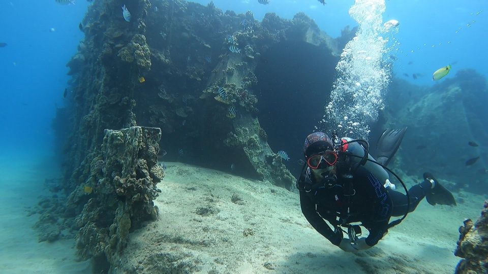Oahu: Beginner SCUBA Dive at Electric Beach - Why Choose the Oahu Beginner SCUBA Experience?