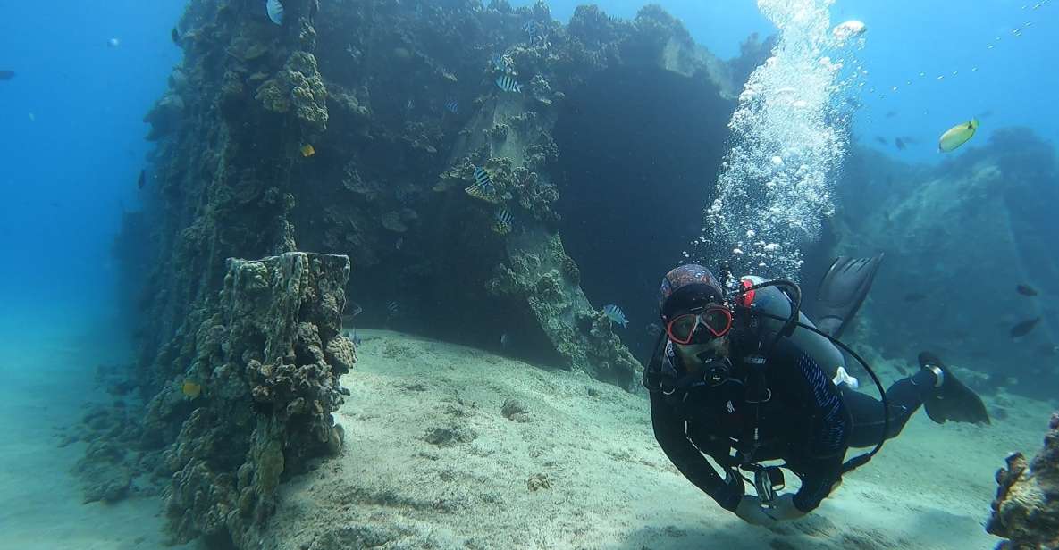 Oahu: Beginner SCUBA Dive at Electric Beach - What to Expect from the Tour