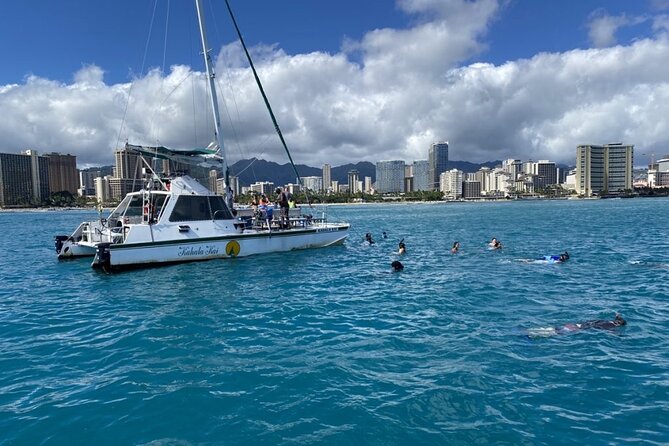 Oahu Catamaran Snorkel Tour: See Turtles 100% Guaranteed - Additional Details & Practical Tips