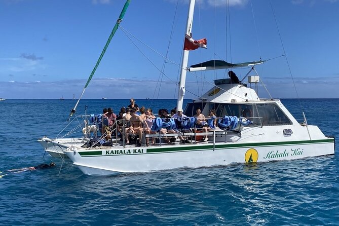 Oahu Catamaran Snorkel Tour: See Turtles 100% Guaranteed - FAQ