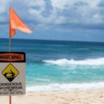 Oahu: Circle Island Day Trip with Shrimp Plate Lunch - What Makes This Tour Stand Out